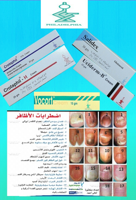 Ezudeen-philadelphia: http:// ezudeen Nageeb Philadelphia ...