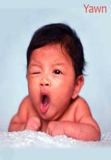 Body Positions Name Meaning & Picture | Necessary Vocabulary ...