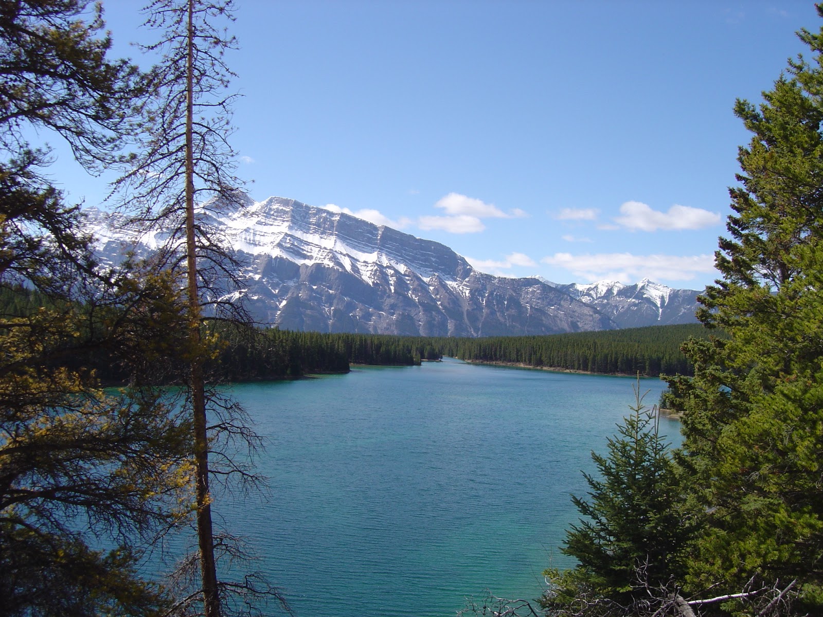 De carro pelas Montanhas Rochosas no Canadá - Milhas a percorrer