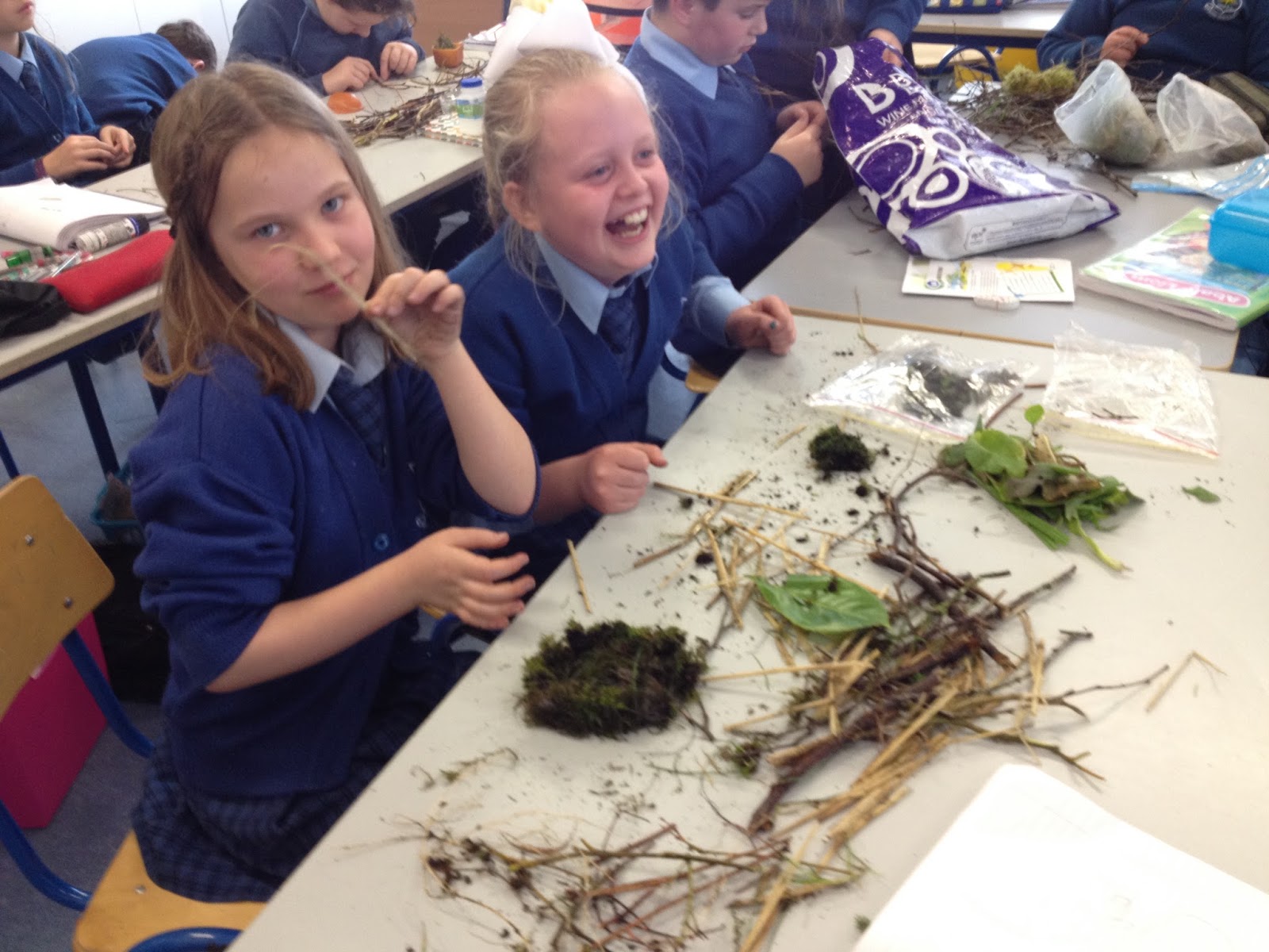 4th Class Scoil Nioclais: Nest Building