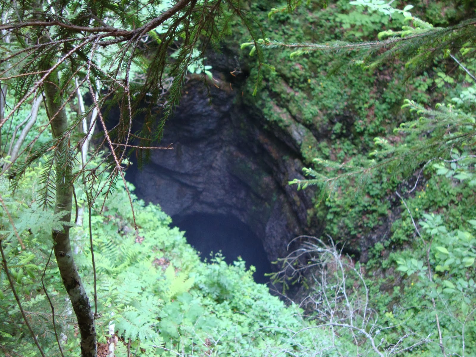 TUDOR PHOTO BLOG: Padis-Zona Turistica,Padis-Touristic Zone,Muntii ...