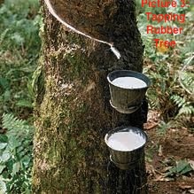 Charlestown High World History: Station 3- Impact of Imperialism in Congo