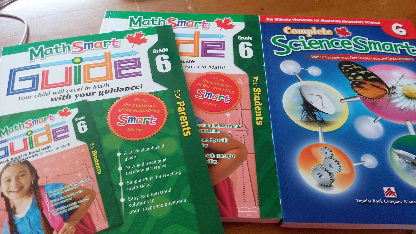 Working through our Smart Books - A Net in Time