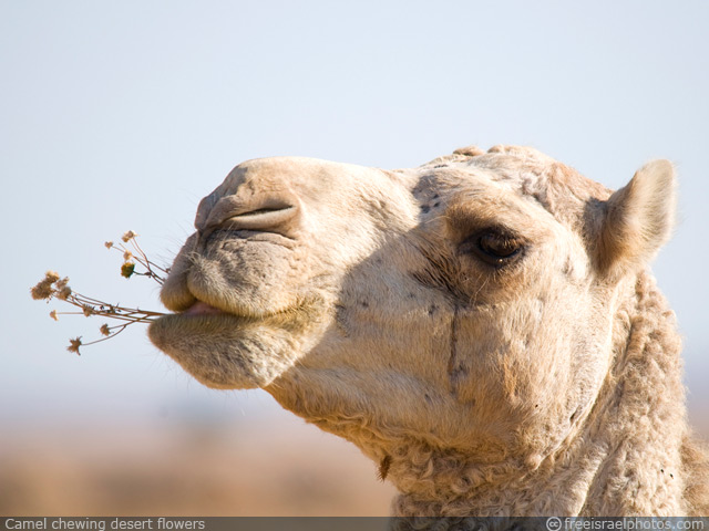 Linda Grimes: Visiting Reality : February 2012