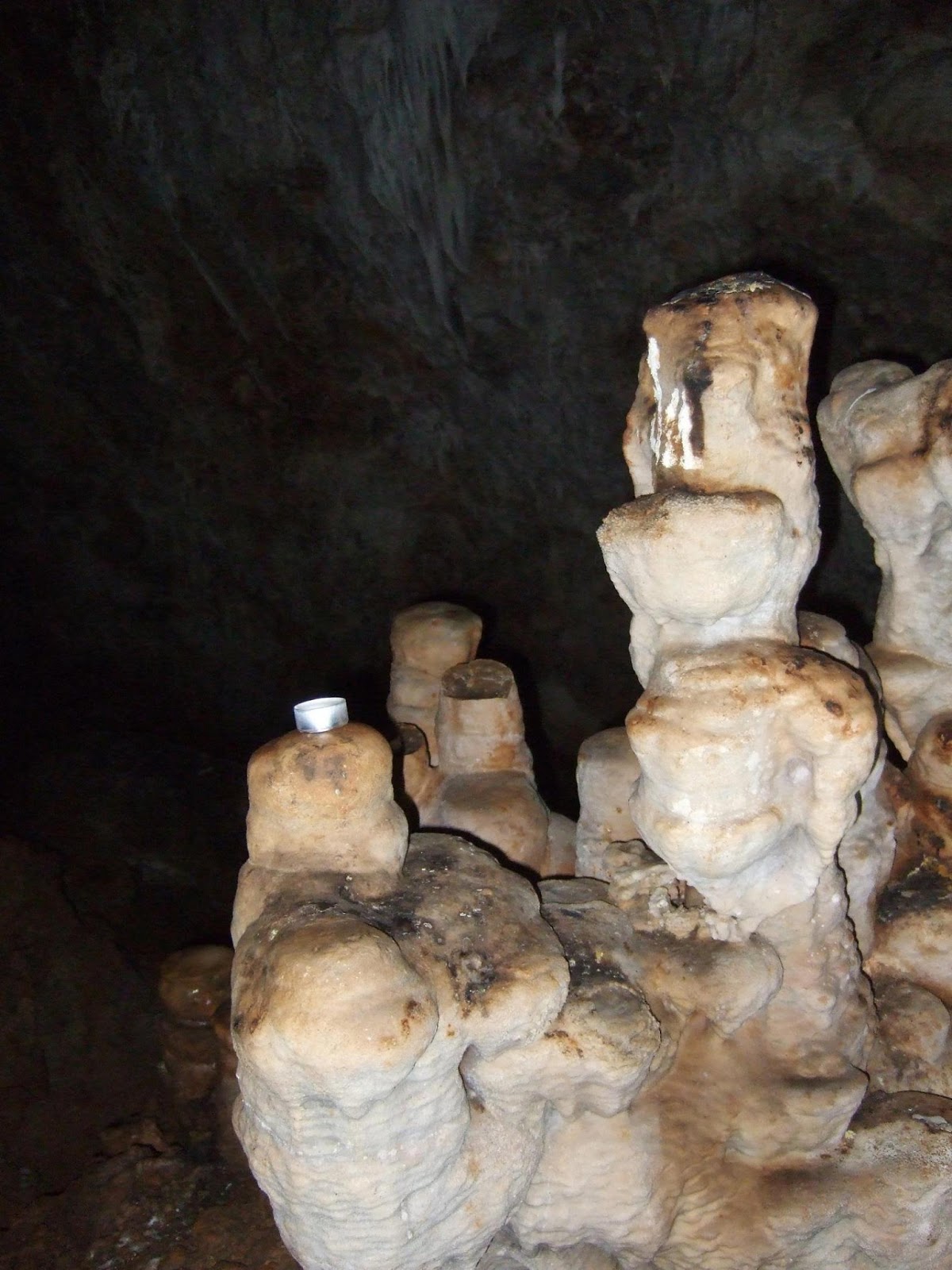 72 - Cova Tancada del cap de Menorca (Alcúdia) 7-7-2013 | Aires de la ...