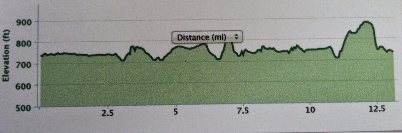 My Marathon Adventure