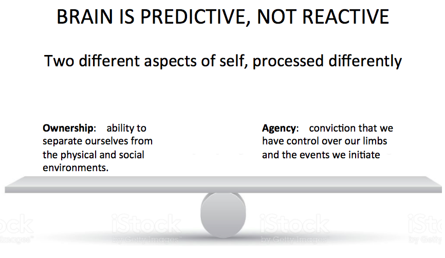 HumanAntiGravitySuit: Ownership and agency in a predictive brain ...