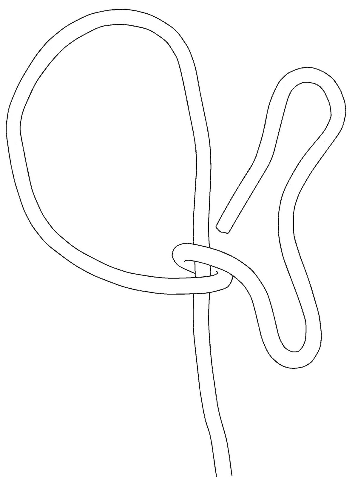 New Approaches with Knot Tying: More Details on The Blakes Hitch