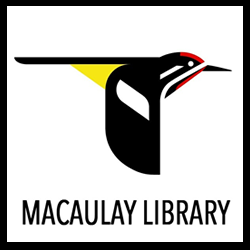 Teacher Librarians: Bridging Theory and Practice: Digital Spotlight ...