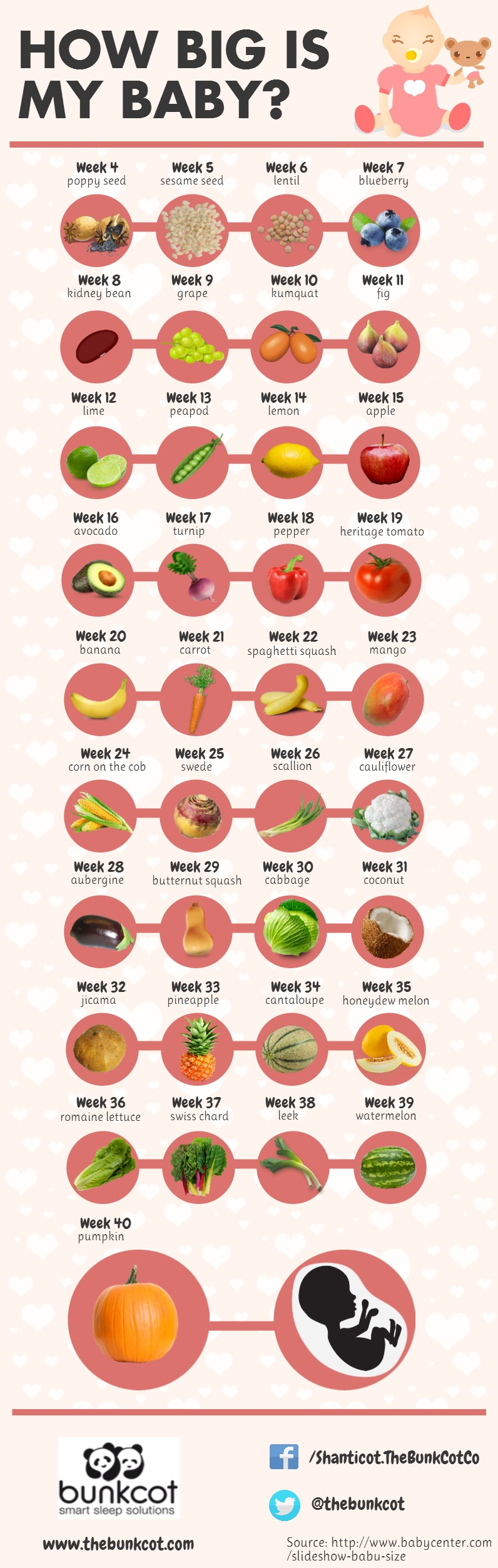 How Big Is My Baby infographic Visualistan how-big-is-my-baby-infographic-visualistan