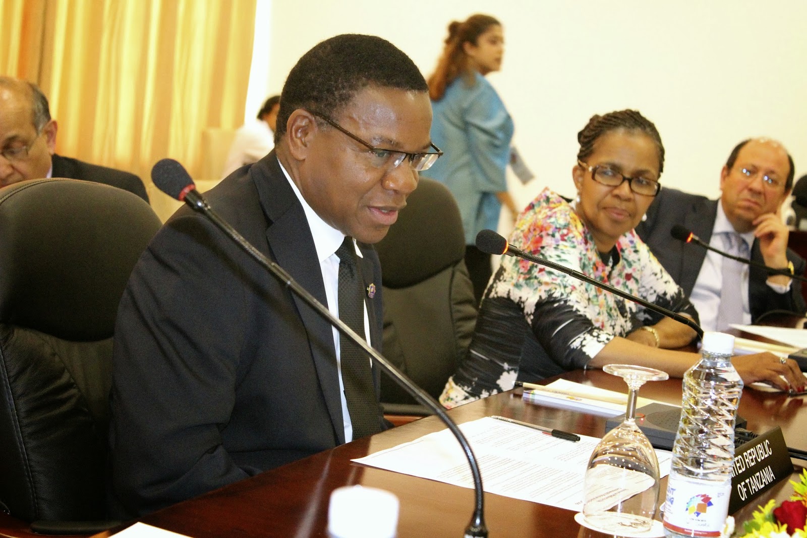 MATUKIO @ MICHUZI BLOG: Foreign Minister Bernard Membe elected Chair of ...