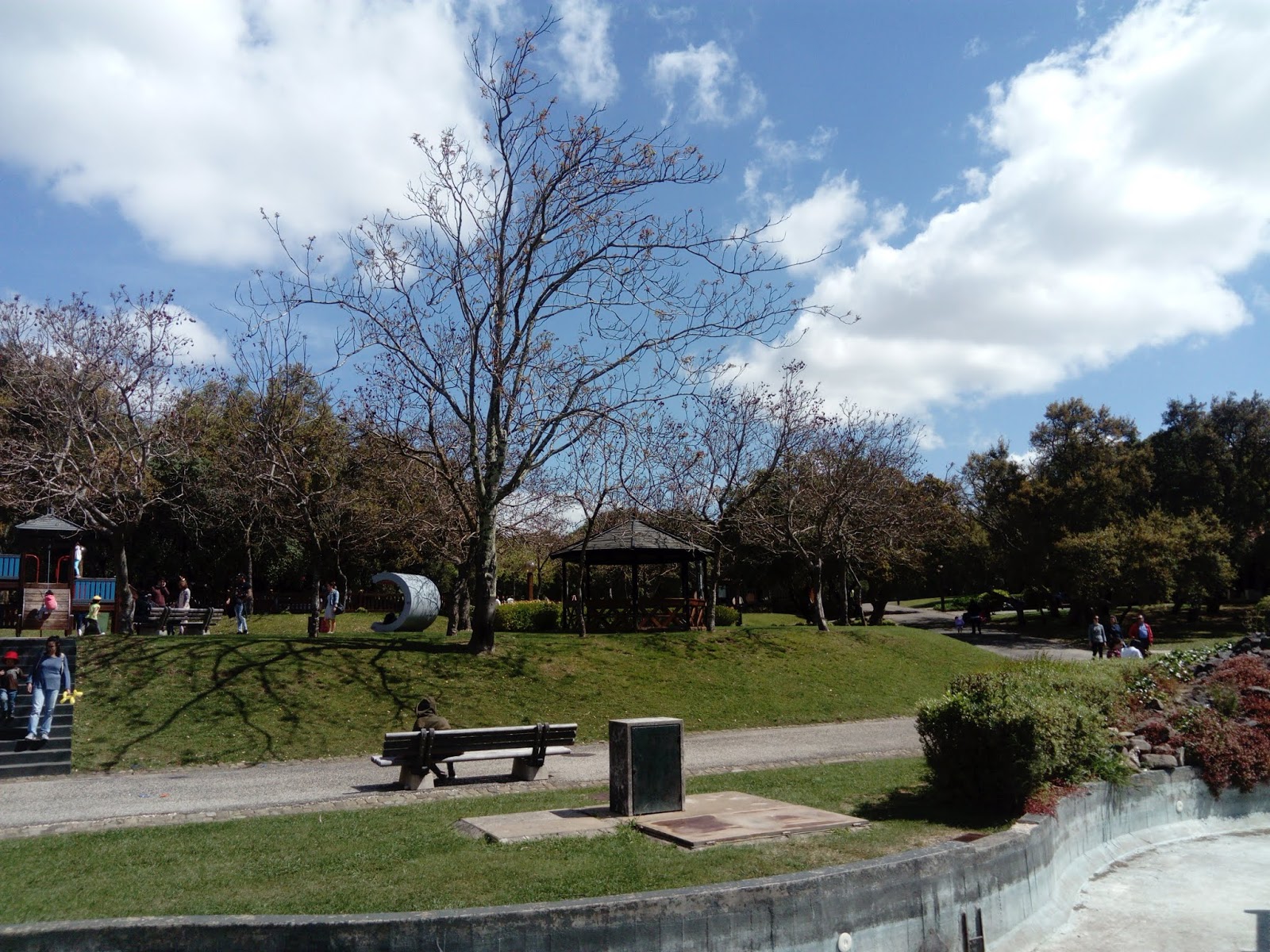 Ecos e reflexos : Caminhada no Parque de Monsanto