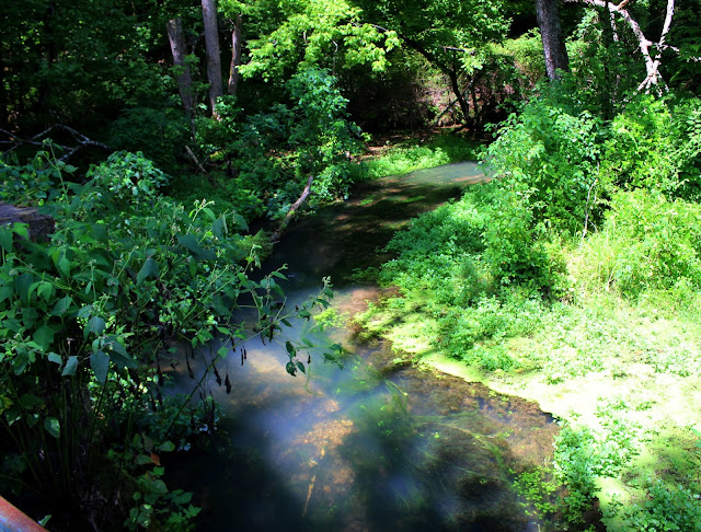 Cumberland Gal: Buffalo Springs Waterfall