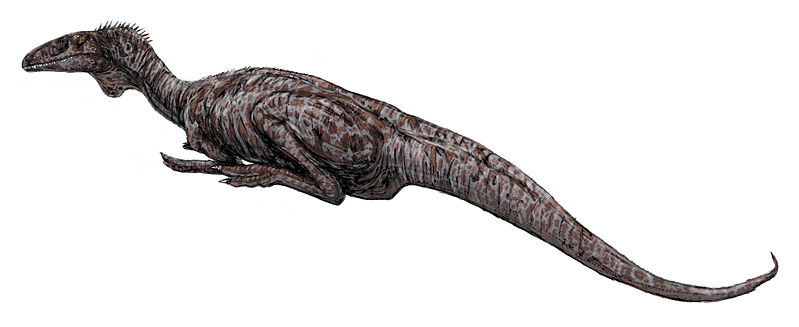 Mesozoic Musings at Jurassic Forest: May 2013