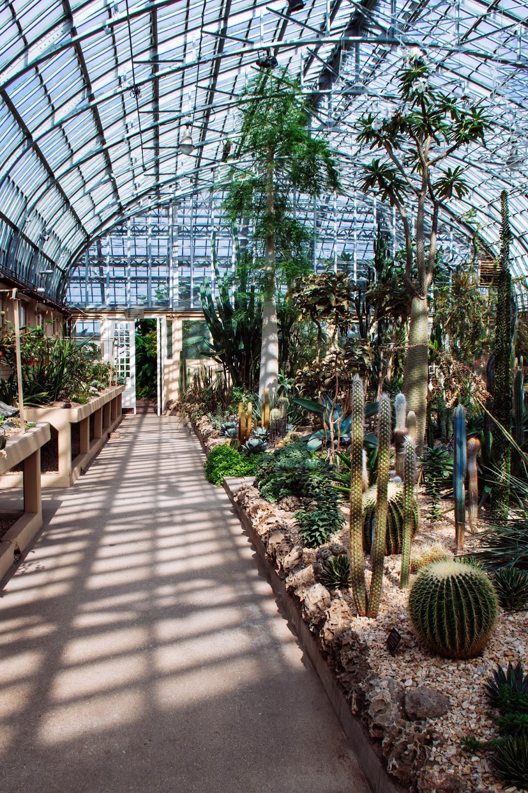 garfield park conservatory | wherever she may roam