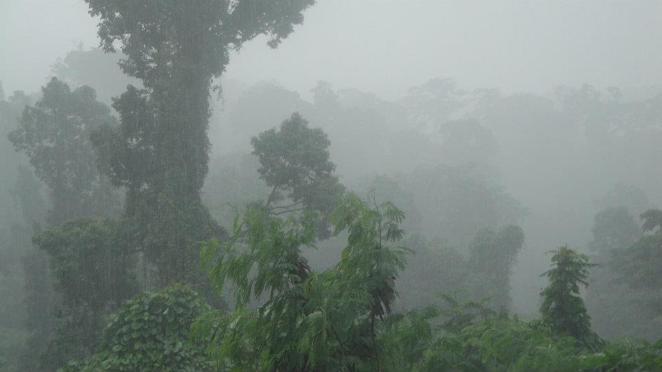 What to know about Subic Freeport Zone .: Subic Bay Wildlife