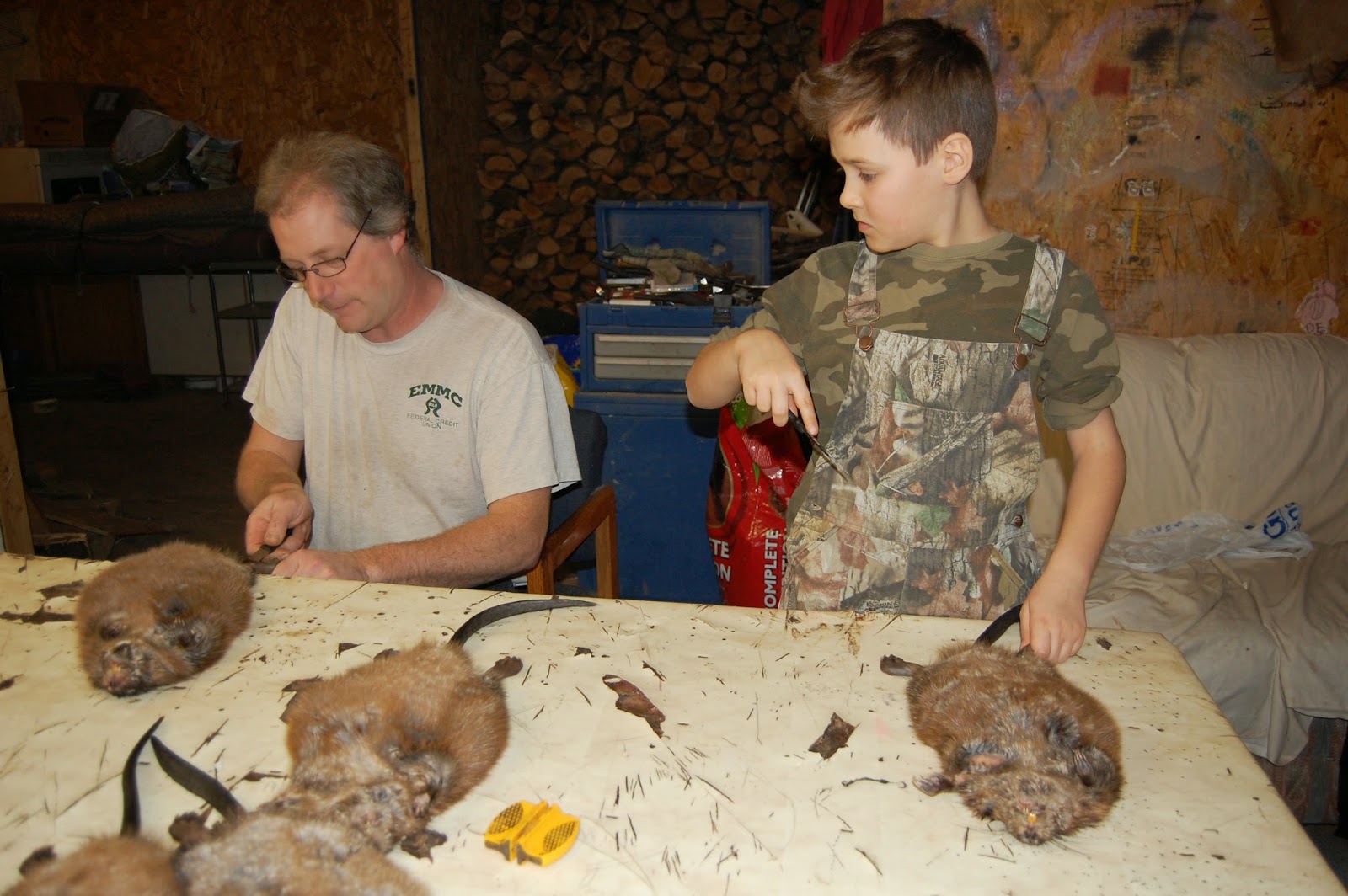 Carmel Hillbillies: Muskrat Trapping in Maine ~An Outdoors, Maine Post!