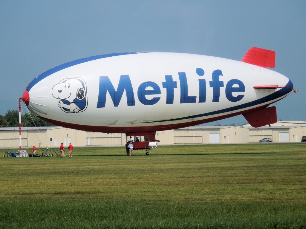 Photographic Logbook: The Flying Bear Meets Turbo the Flying Dog (Part ...