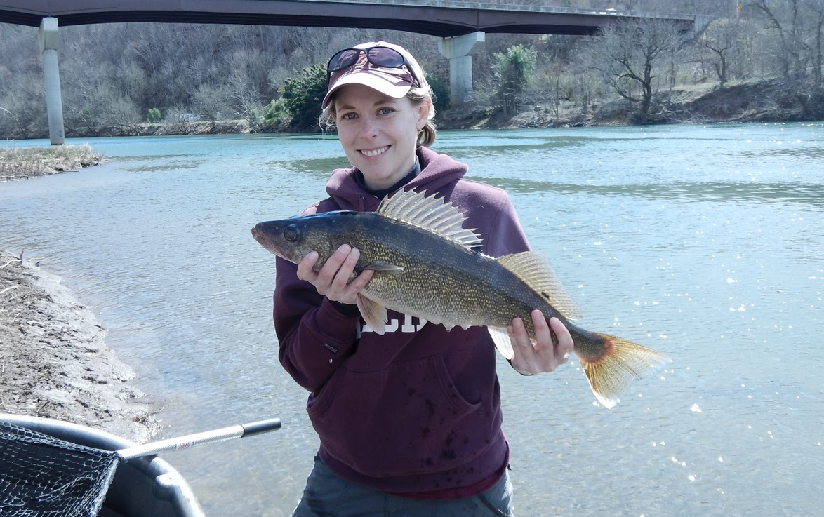 Virginia Tech Ichthyology Class : Walleye Madness, by Don Orth