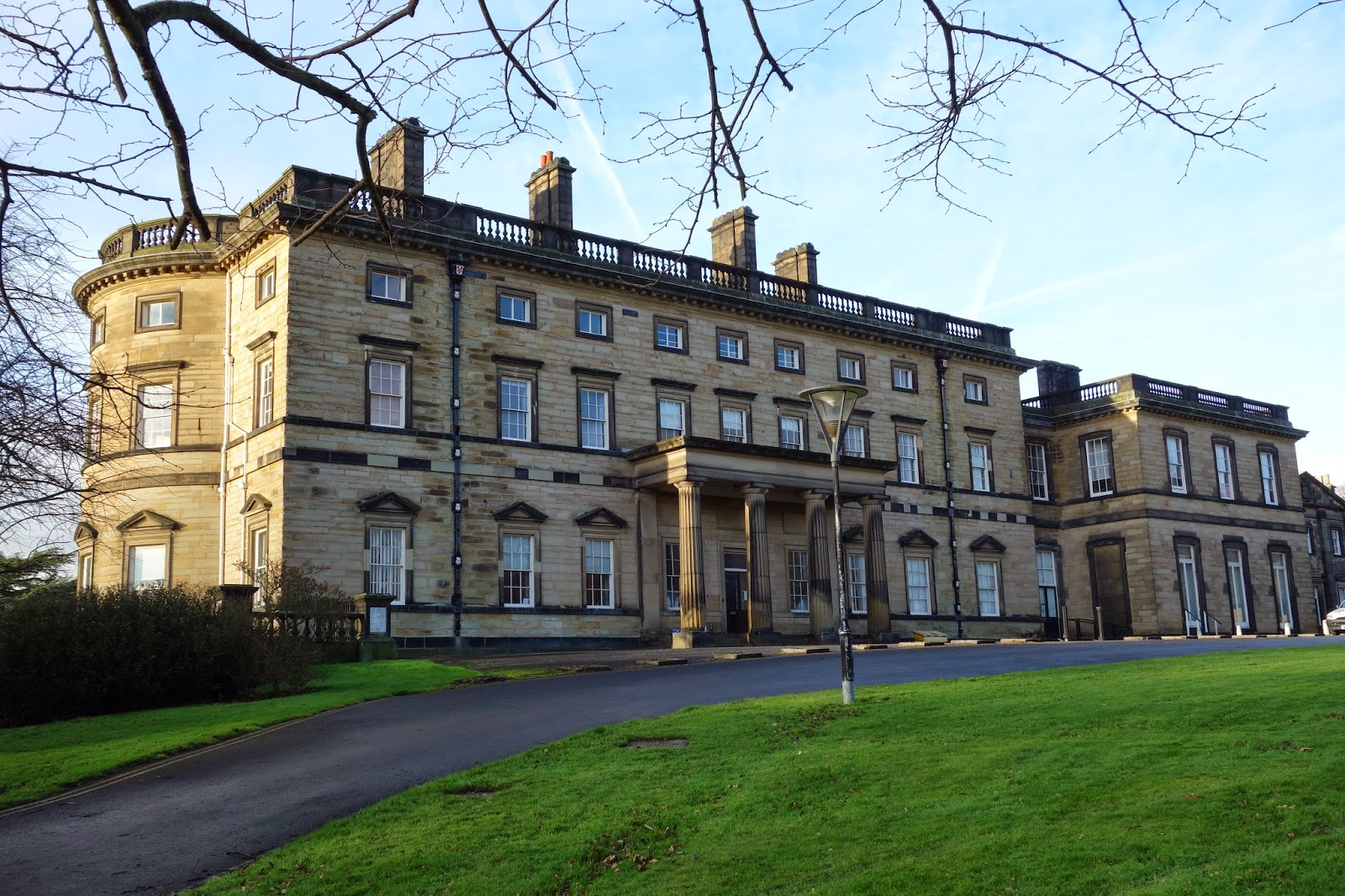 Galanthus : Bretton Hall Campus, Yorkshire Sculpture Park