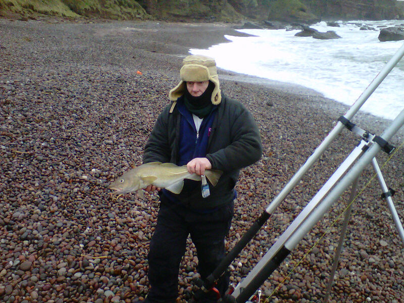 February Fish of the Month Entry - Arbroath Cod!