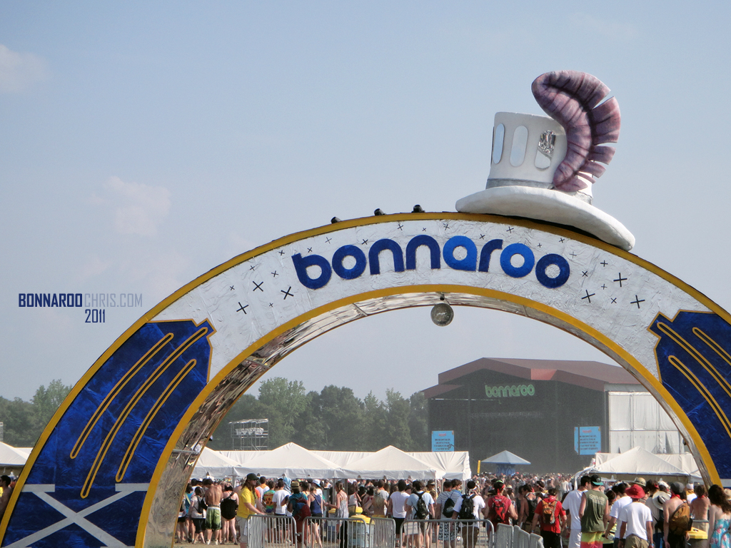 Bonnaroo Art