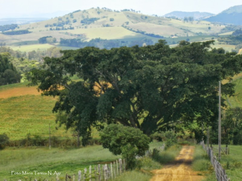 VIAGEM A BORDA DA MATA - PRIMEIRA PARTE