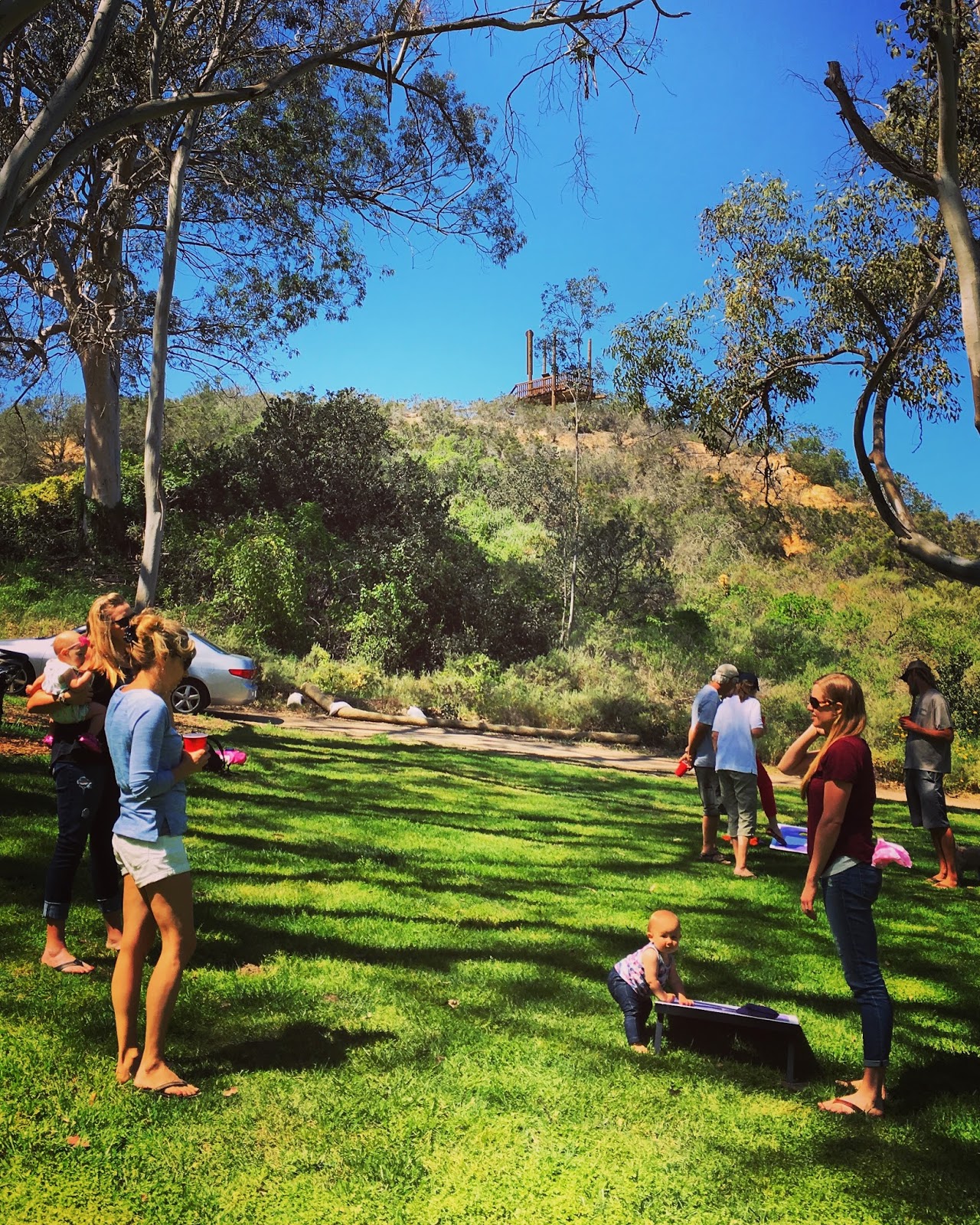 Sensory Overload: San Dieguito Park (Suzie and Joe's Going Away Party)