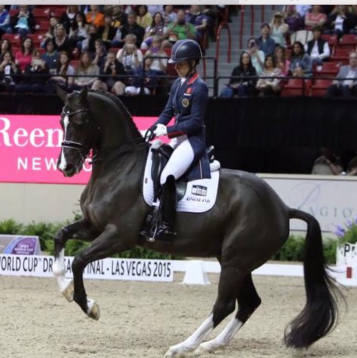 Amalltea's Model Horse: Breyer Valegro w mojej kolekcji!