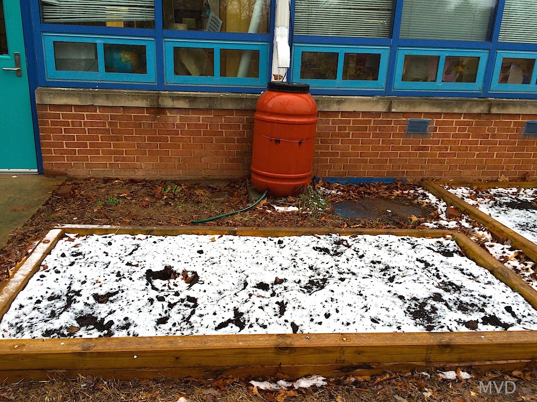 Green STEM Learning: The Potato Project: Planting Potatoes with Montessori