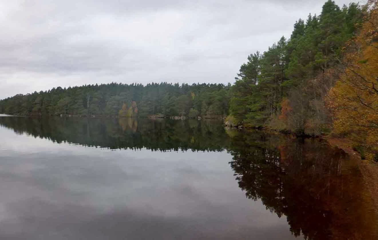 Alex and Bob`s Blue Sky Scotland: Loch Garten Nature Reserve. Abernethy ...