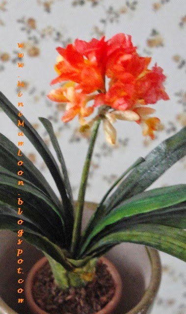 MiniMumLoon: Zuster Klivia / Nurse Klivia