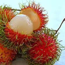 receitas fernandes: rambutã ( fruta exotica ) curiocidades