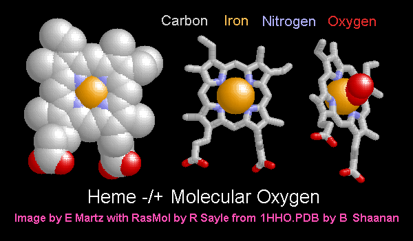 TUTORIAL RASMOL | The Deeper of World : That's Chemistry!