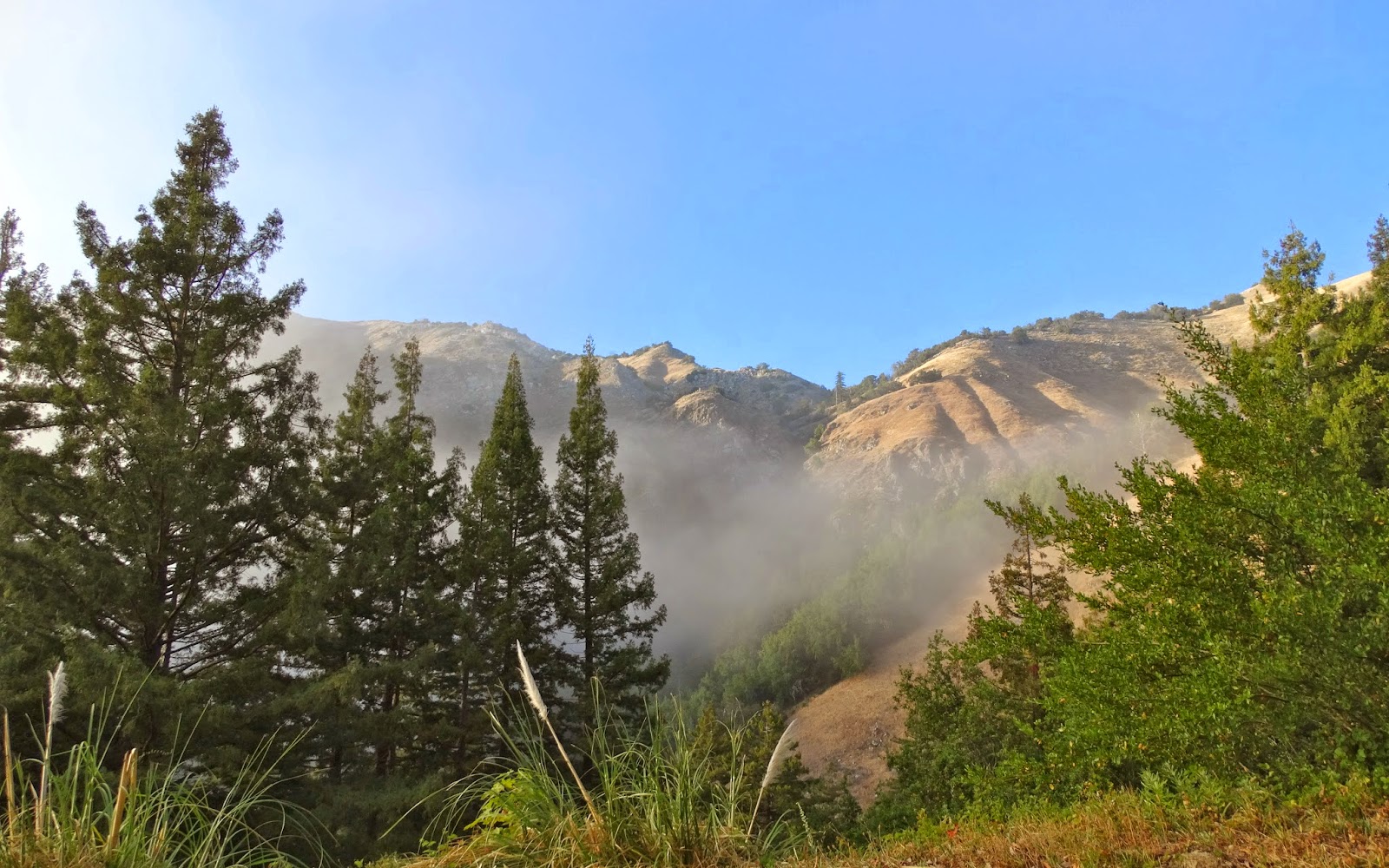 Our Four Wheel Camper: Prewitt Ridge, Big Sur - "Another butterscotch ...