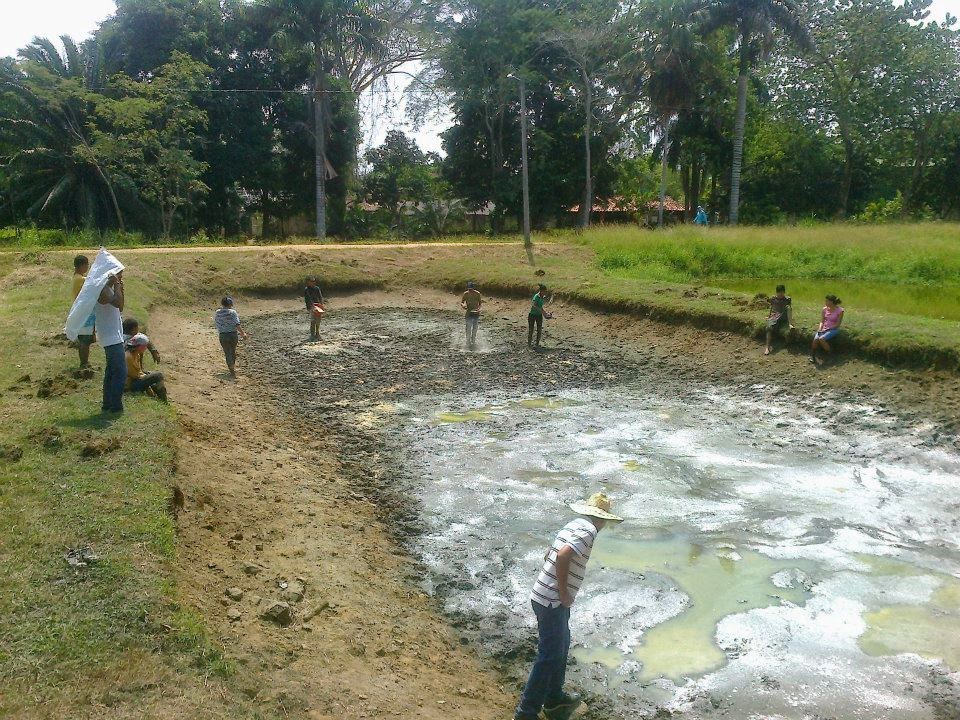 MONOCULTIVO DE CACHAMA (Colossoma sp) ~ ACUICULTURA CÓRDOBA