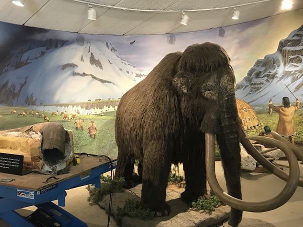 Jennifer's Little World blog - Parenting, craft and travel: La Brea Tar ...