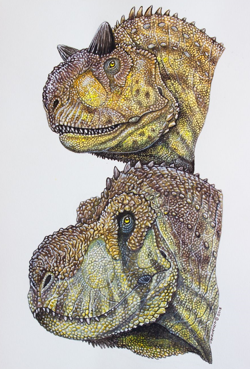 Species New to Science: [Paleontology • 2018] Ceratosaur Palaeobiology ...