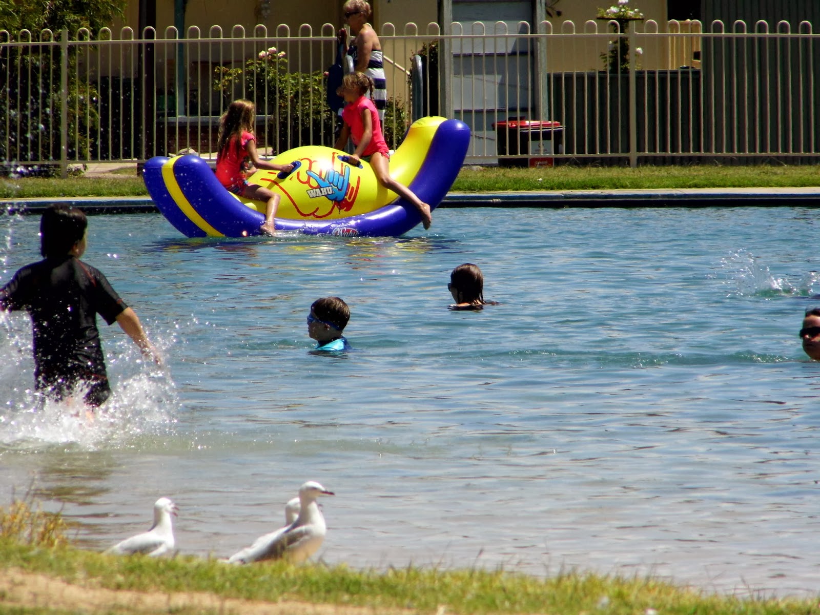 One Mother Hen: Where all the cool kids go