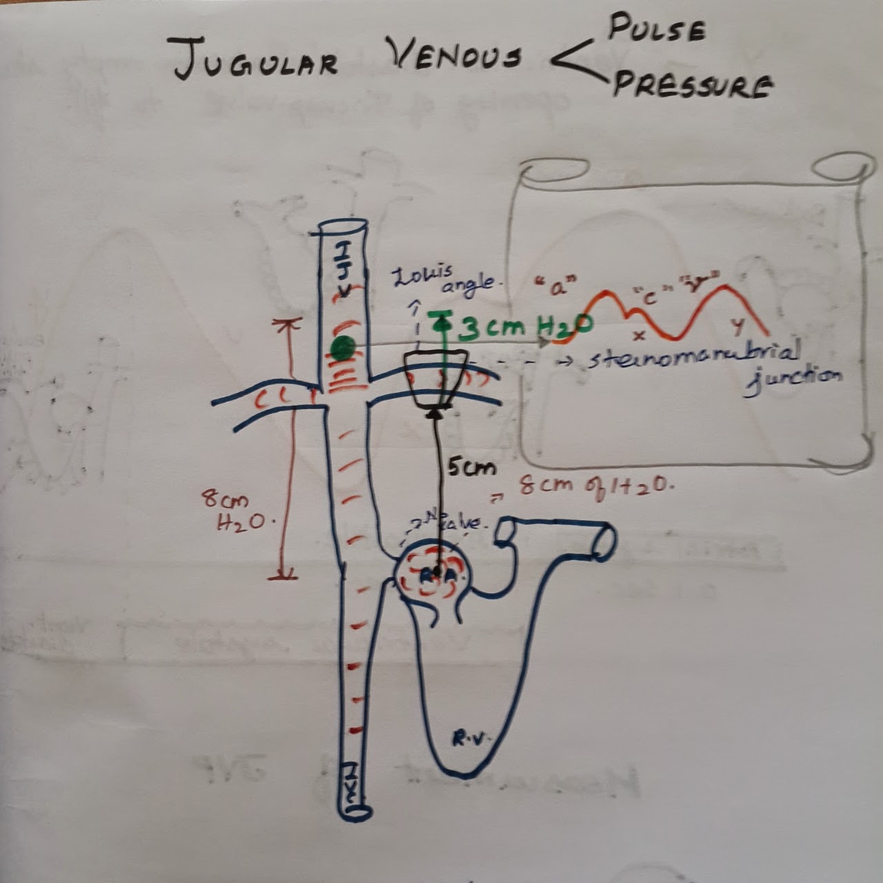 MEDGOAL: Jugular venous Pulse/Pressure ( part 1)