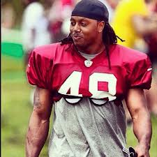 Blogging the Burgundy and Gold: Reviewing and Grading the Redskins ...