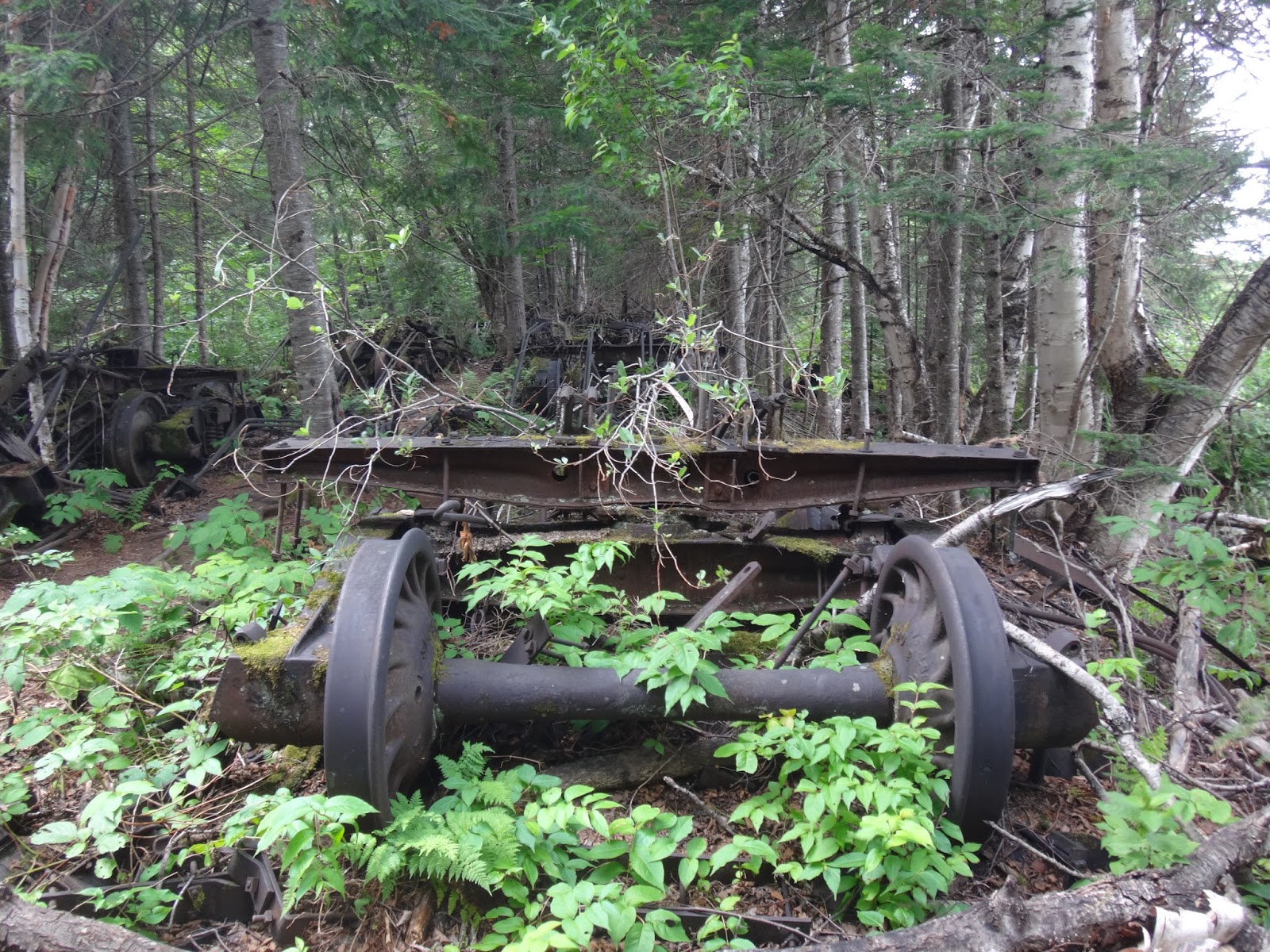 double d mountain runner: Allagash Wilderness - Abandoned trains