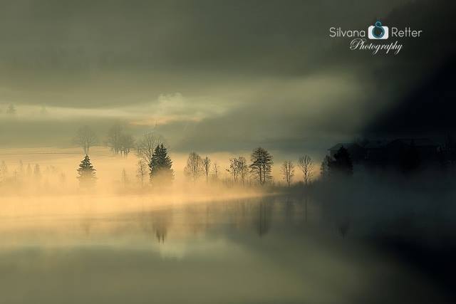 Silvana Retter PHOTOGRAPHY