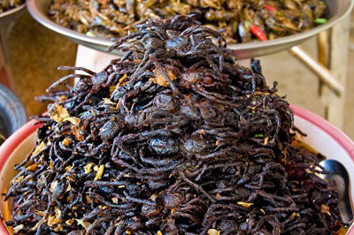 Explore to The Natural World: A PING, FRIED SPIDER