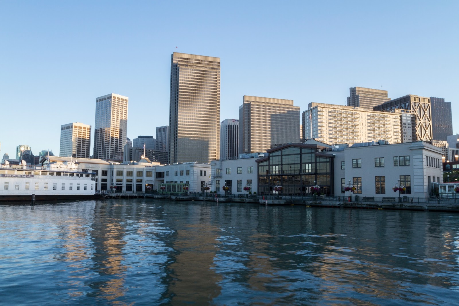 Naturetastic Blog: Pier 7 - San Francisco, CA (Part 1)