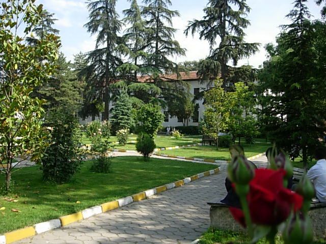 Şamil Türkiye Ansiklopedisi..........: Imbat Deresi, Erbaa, Tokat