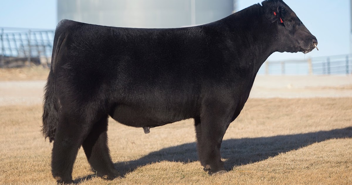 RCC Blog: Drivin 80 - Call or Text 515-480-6896 Now To Order Drivin 80 ...