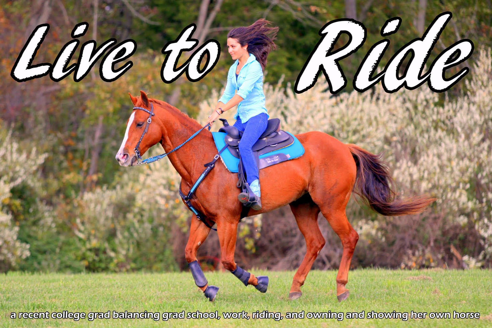 Live to Ride