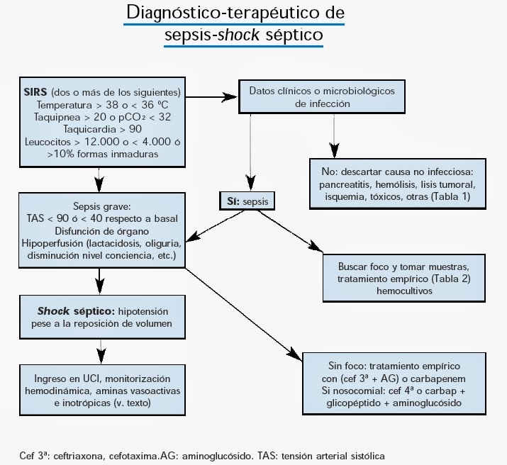 TRATAMIENTO NATURAL SEPTICEMIA (INFECCION EN LA SANGRE) | EL CLUB DEL ...