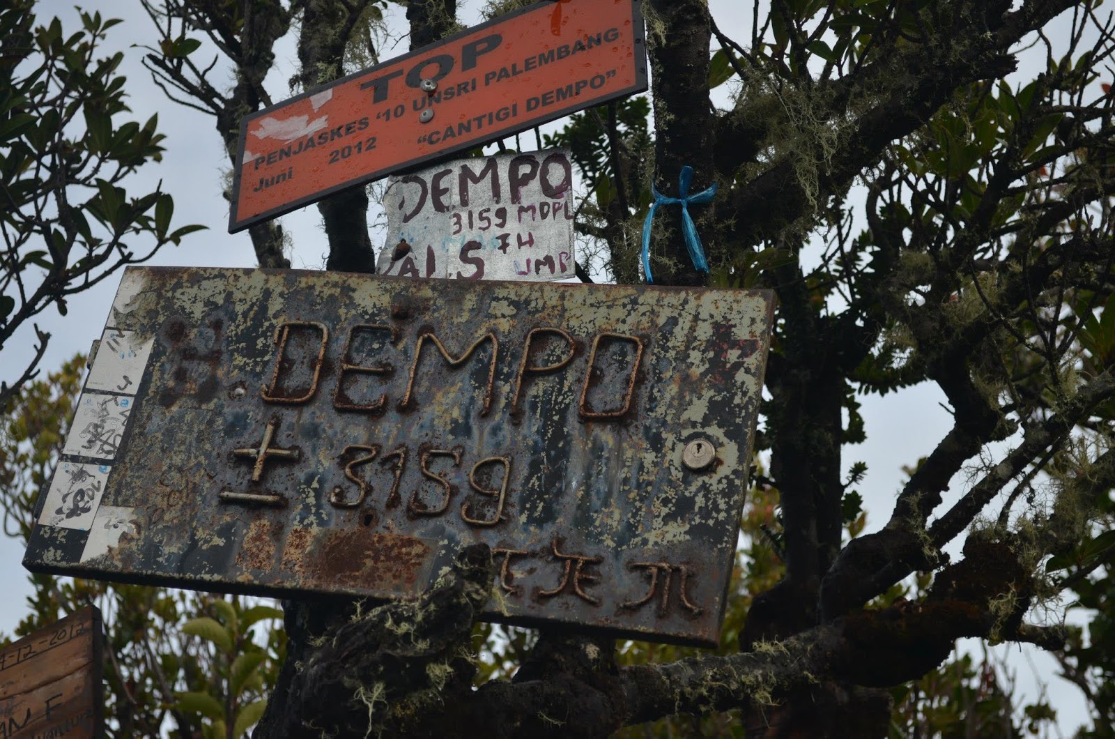 Sispala Galapagos: Sumatera Expedition : Pendakian Gunung Dempo